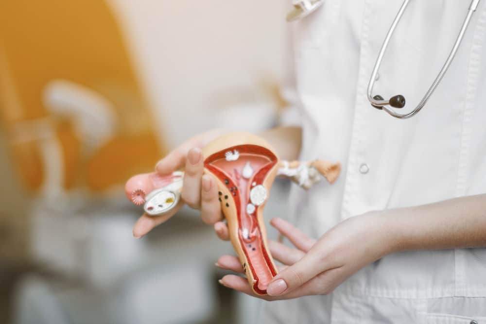 EMA validates marketing authorisation application for Jemperli with ...