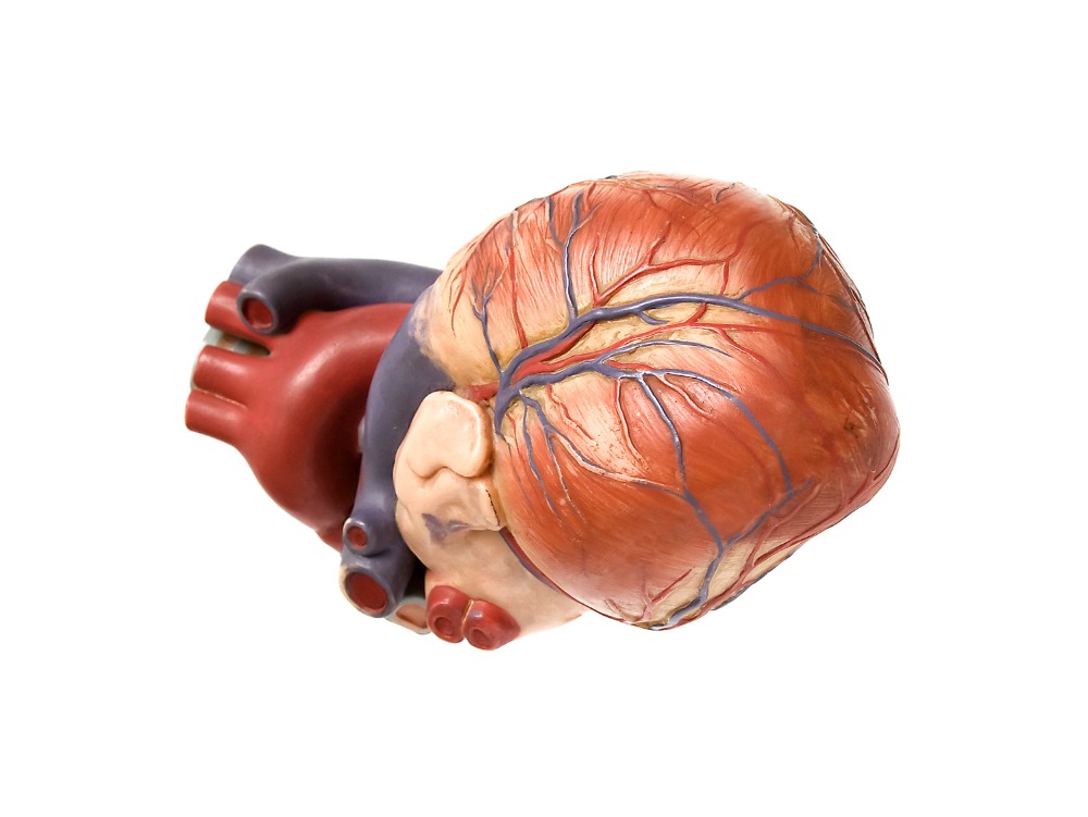 NICE approves first treatment for obstructive HCM for NHS use ...